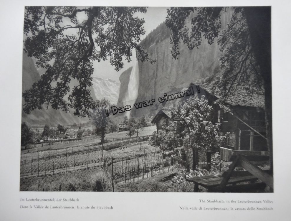 Bern Lauterbrunnen von Gabarell 1925 (Gebraucht) in Safnern für CHF 16 – mit Lieferung auf ...