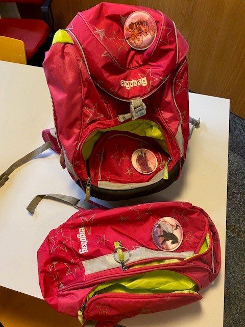 Ergobag Schulthek Rucksack | Kaufen auf Ricardo