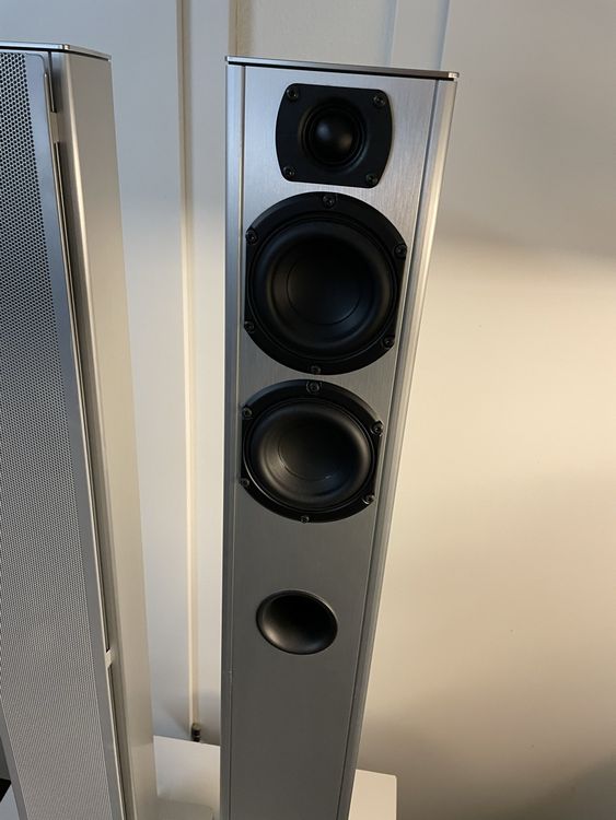 Piega TS5 Standlautsprecher, ein weiteres Paar - top (Gebraucht) in Zug ...