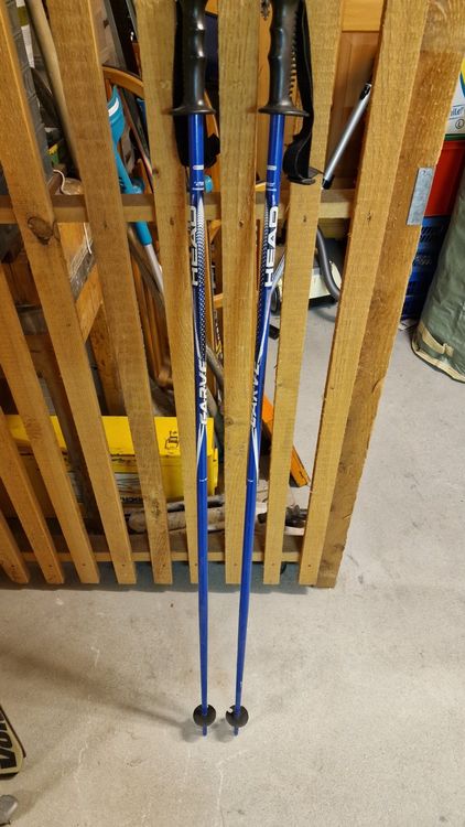 Skistöcke Head Carve | Kaufen auf Ricardo