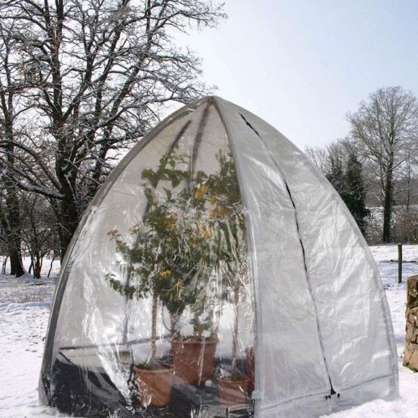 Pflanzenzelt Für Den Winter