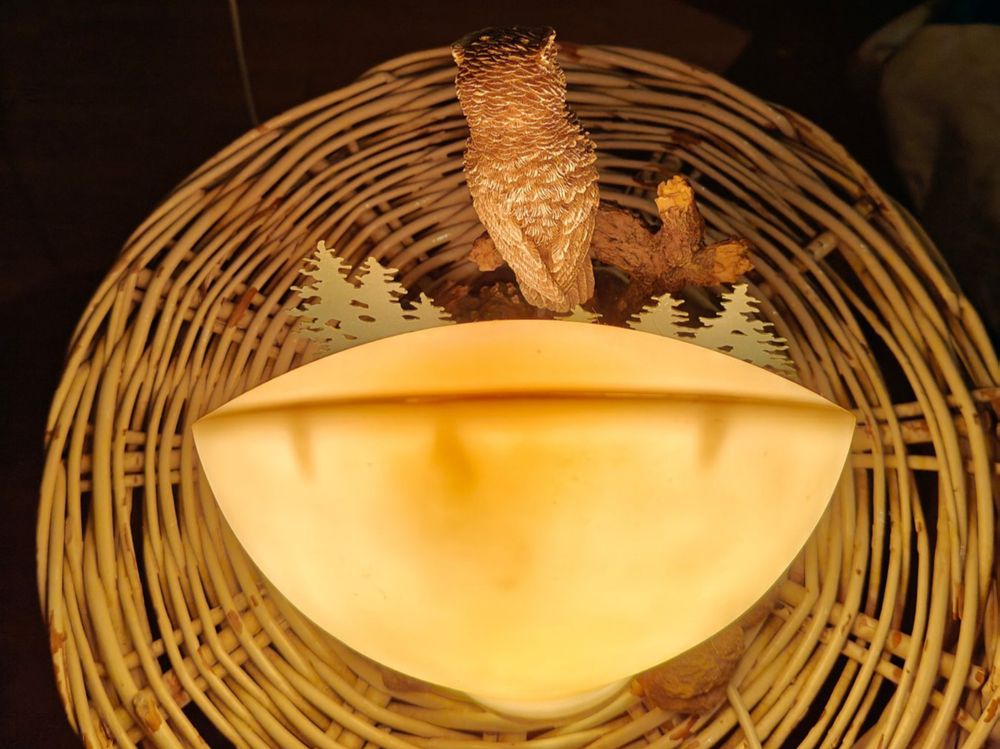 Einzigartige Lampe: Eule vor Vollmond /(Harry Potter Hedwig) (Gebraucht ...