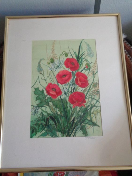 Mohnblumen | Kaufen auf Ricardo