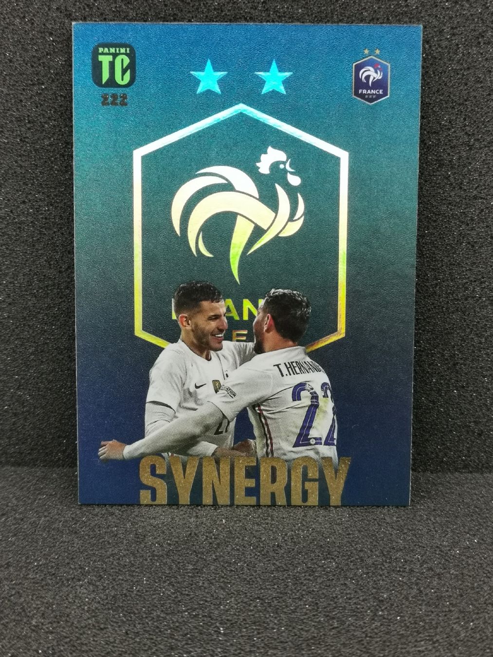 Panini Top class 2023 Theo & Lucas Hernández Synergy (Gebraucht) in ...