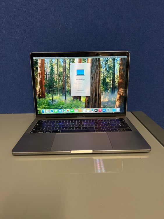 MacBook Pro 13" Grey 2x USB 2019 i5 8 GB Ram & 128 GB #18 (Usato) a ...