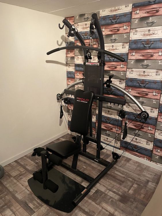 Bio Force Finnlo | Kaufen auf Ricardo