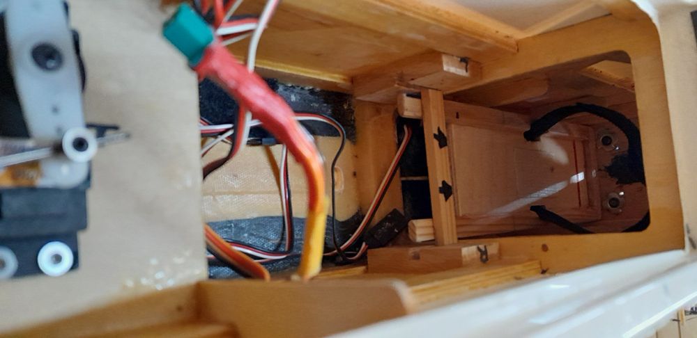 Tiger Trainer 60 Elektrisch mit 4 Klappenflügel und SK (Gebraucht) in ...