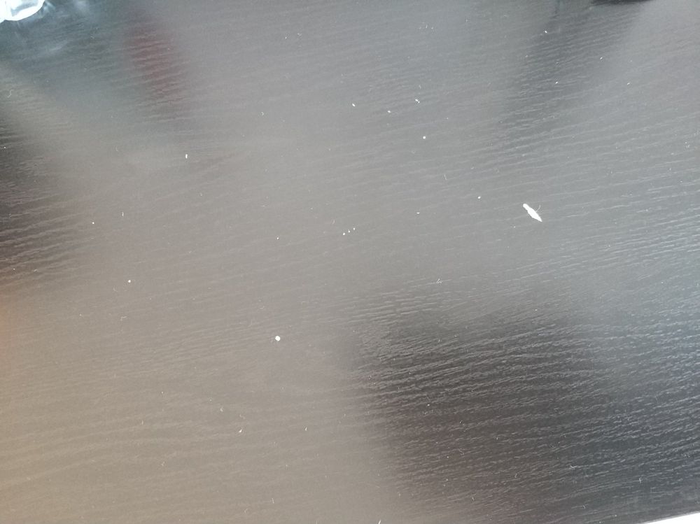 Ikea Kallax mit Türen (Gebraucht) in Birr für CHF 30 – nur Abholung auf ...