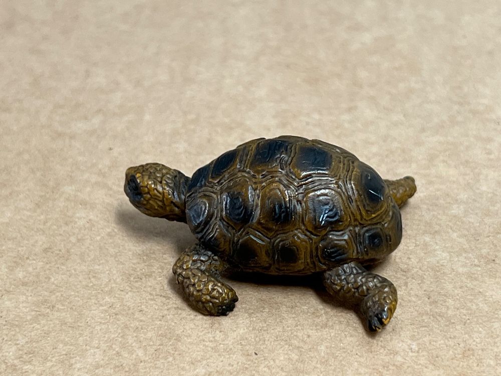 Schleich Schildkröte | Kaufen auf Ricardo