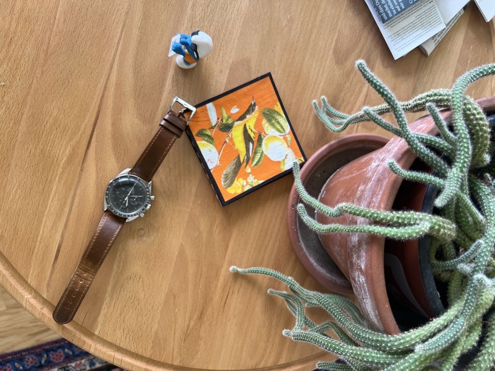 Omega Speedmaster Professional (Gebraucht) in Riehen für CHF 4999 – mit ...