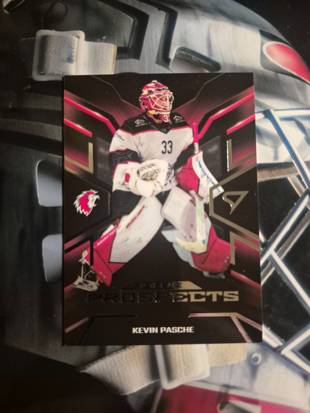 Kevin Pasche HC Lausanne 2025/26 Sportzoo (Gebraucht) in Treiten für ...