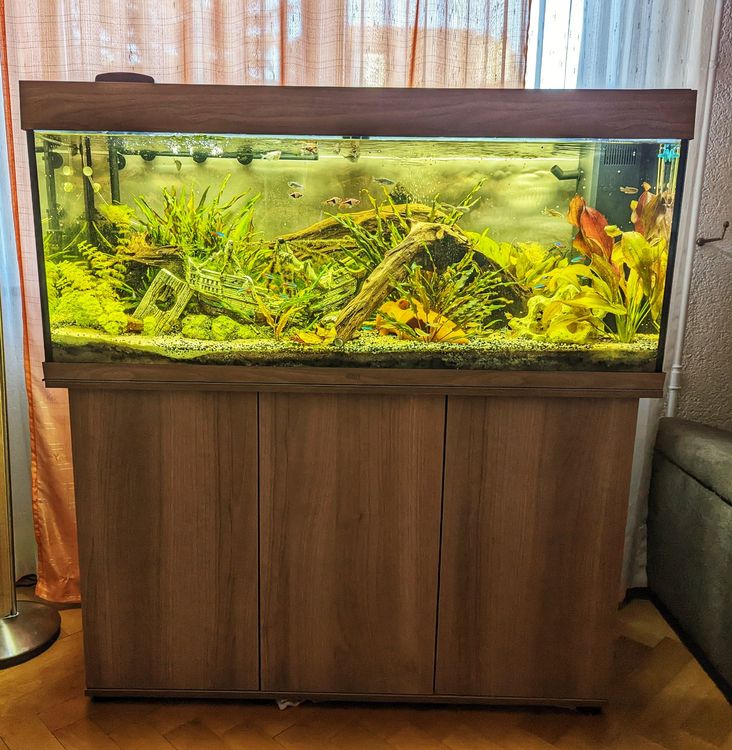 Aquarium 240L | Kaufen auf Ricardo