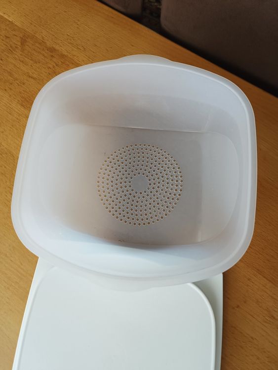 Käseglocke aus Tupperware (Gebraucht) in Birr für CHF 10 – mit ...