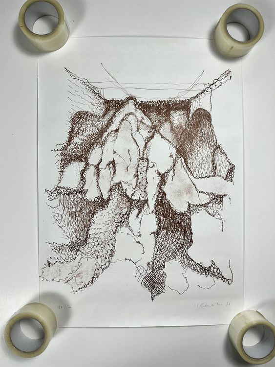 Grosser Lithographie (Gebraucht) in Schaffhausen für CHF 10 – mit ...