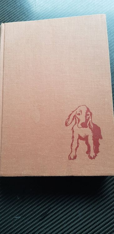 Das grosse Buch der kleinen Freunde (Gebraucht) in Dietikon für CHF 5 ...