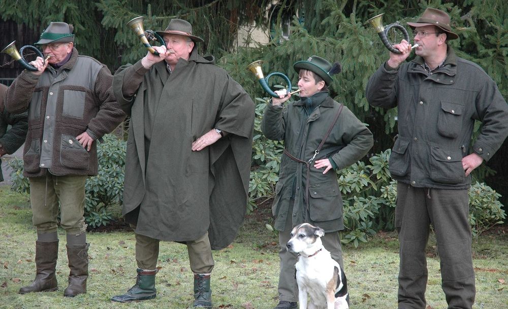 Fürst Pless Jagdhorn Messing (Gebraucht) in Aarau für CHF 80 – mit ...