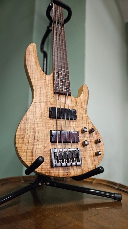 ESP LTD B205 (Gebraucht) in pieterlen für CHF 206 – nur Abholung auf ...