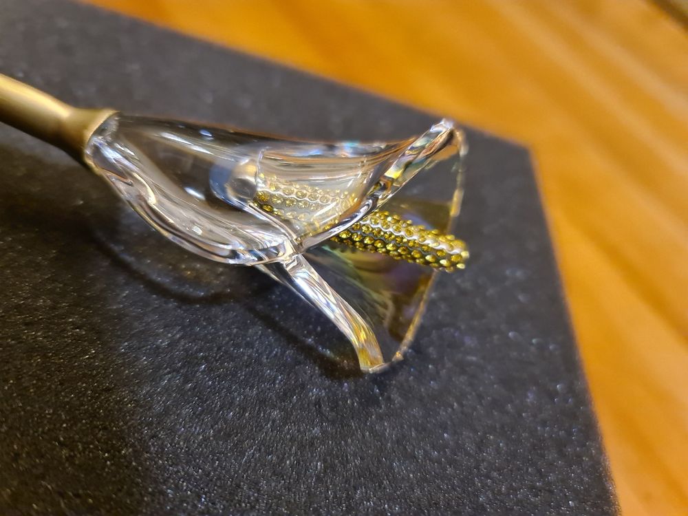 Swarovski Figur Blume Calla Lily neu und Originalverpackt (Neu und ...