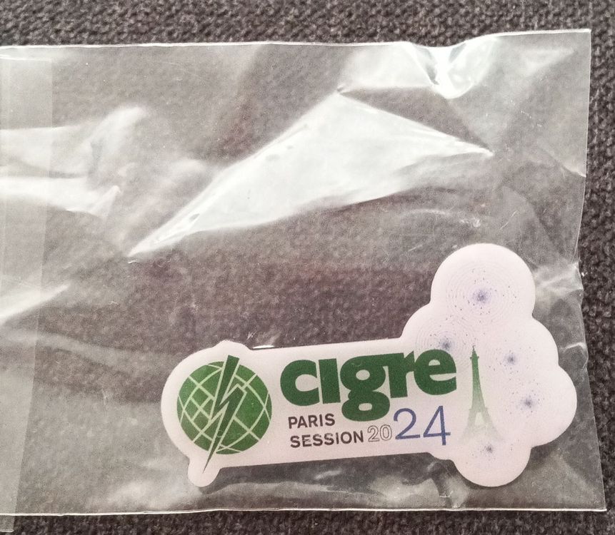CIGRE Paris Session 2024 Anstecker Neu (Neu und originalverpackt) in ...
