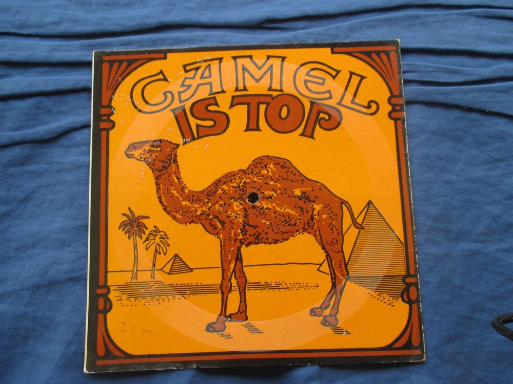 Krokodil : Camel Dance | Kaufen auf Ricardo