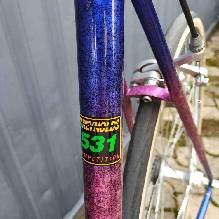 Vélo single speed acier Reynolds 531 t55 (Gebraucht) in Carouge GE für ...