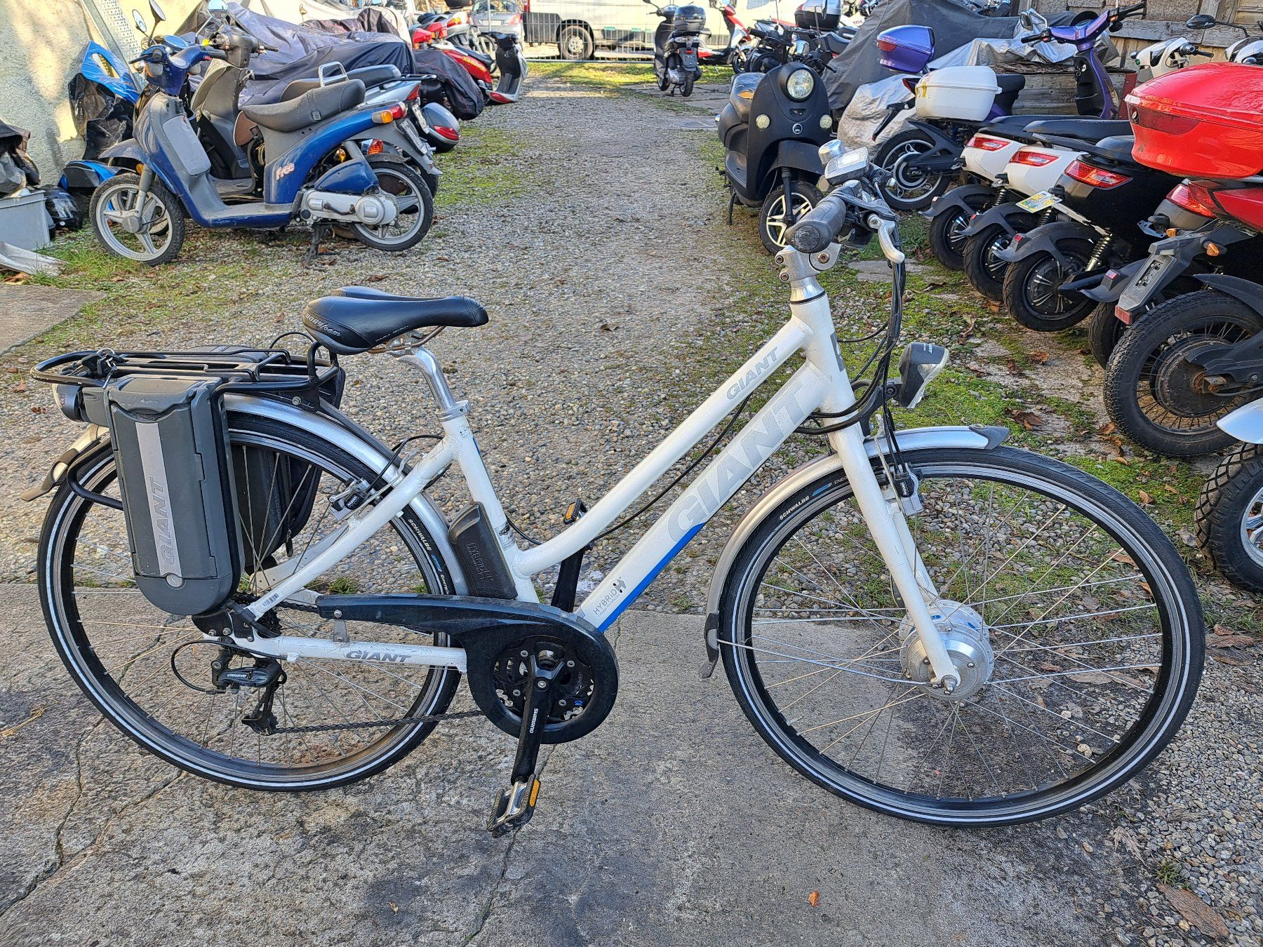 E-Bike Giant Twist Express RSW 25km/h Akku defekt Lieferung (Gebraucht ...