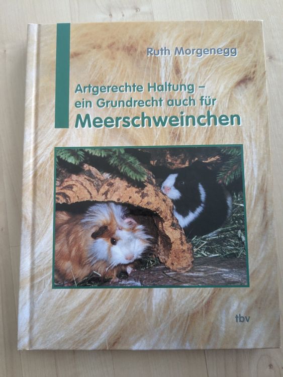 Artgerechte Haltung - Meerschweinchen - Ruth Morgenegg (Gebraucht) in ...