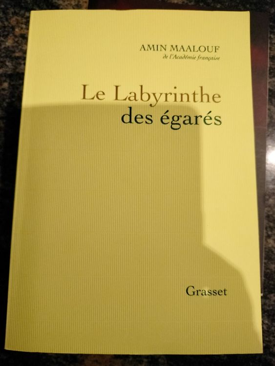 Le Labyrinthe Des Gars L Occident Et Ses Adversaires