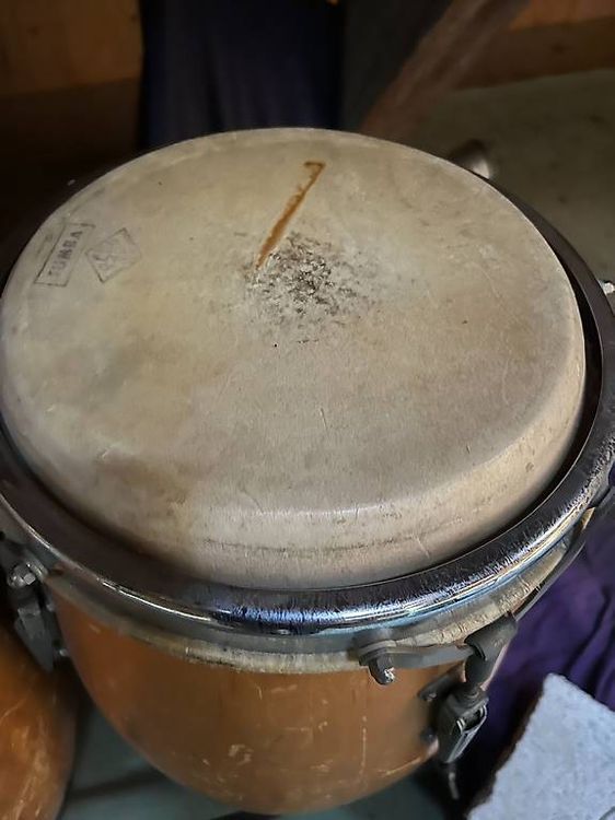 2 Konga Musikinstrument (Gebraucht) in Rüti b. Büren für CHF 72 – nur ...