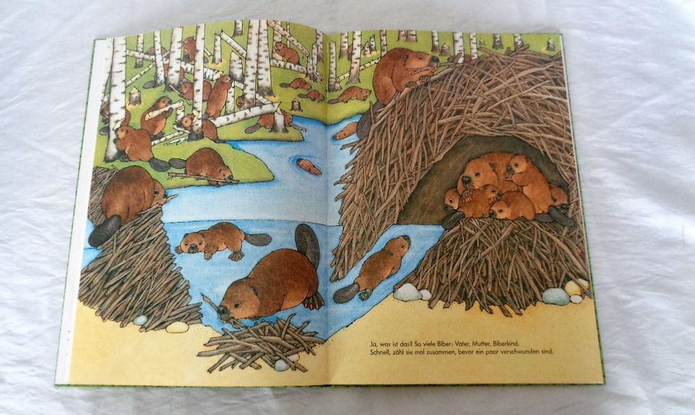 Sara Ball - Rätsel - Bilderbuch / Ich sehe was, siehst du es | Kaufen ...