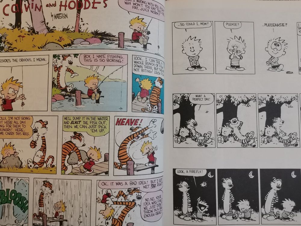 English Comic Books / Calvin and Hobbes / Fat Freddy's Cat | Kaufen auf ...