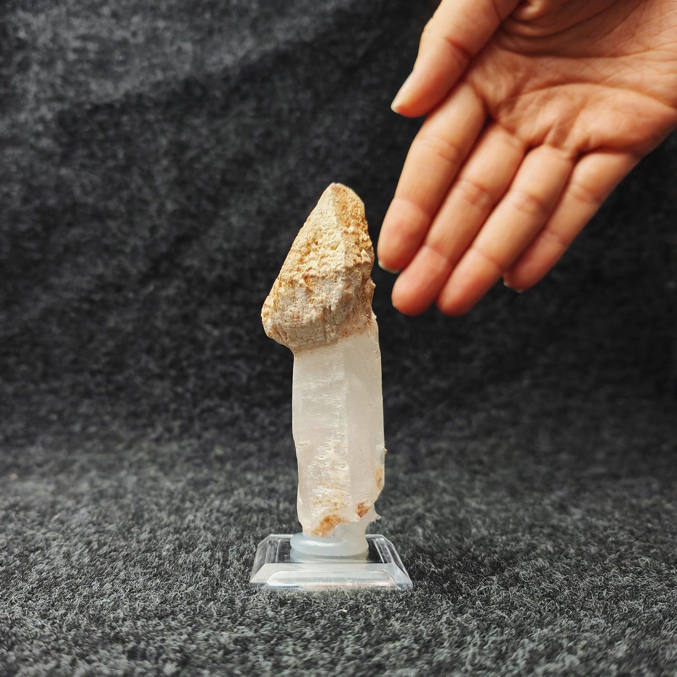 Großer ZEPTER-QUARZ natürlich, Top Qualität, Sehr SELTENER! (Neu (gemäss Beschreibung)) in ...