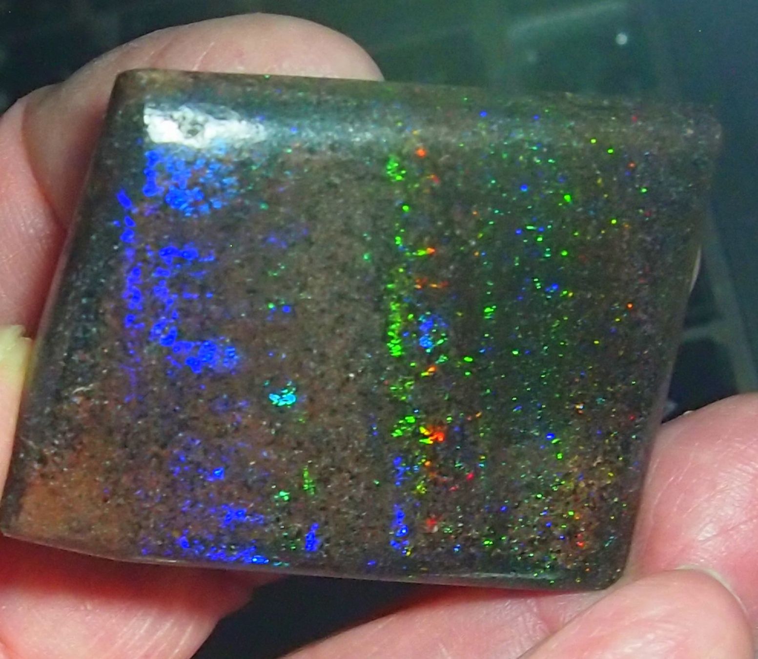141,5 CTS ANDAMOOKA OPAL SPECIMENS-FROM QUEENSLAND. [SO7] (Neu und ...