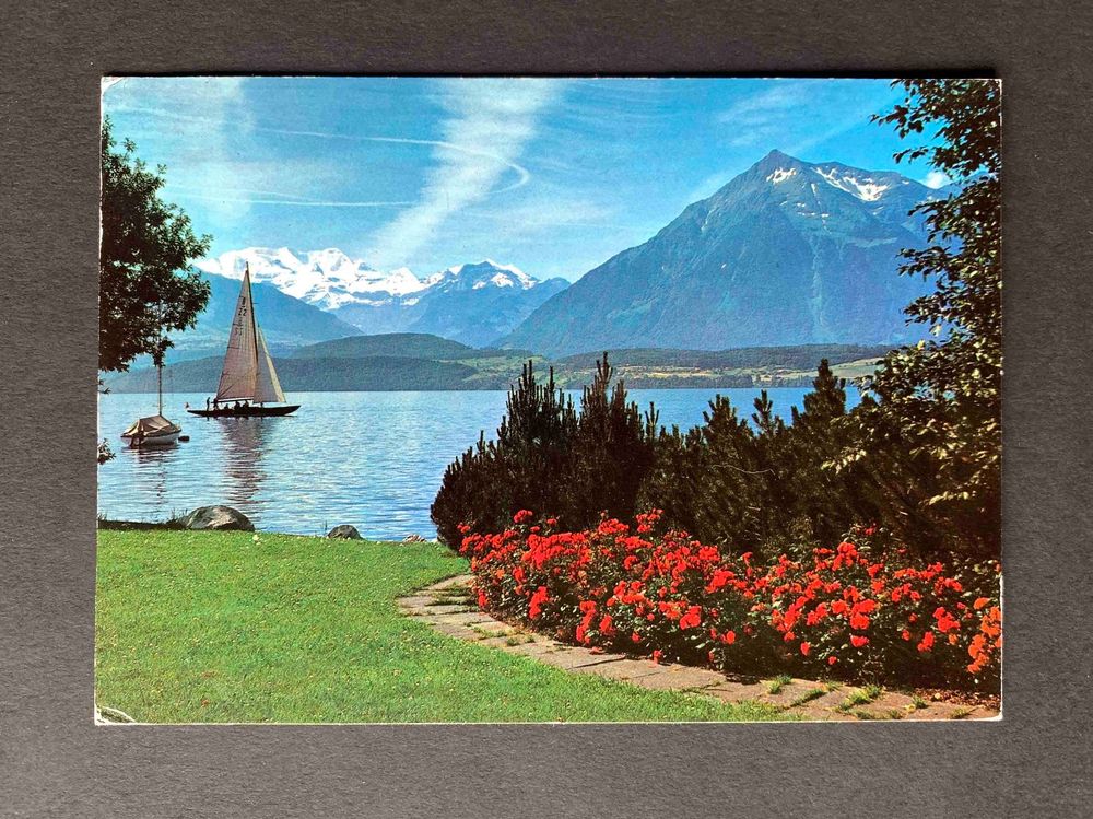 AK Am Thunersee Blüemlisalp Niesen (Gebraucht) in Goldau für CHF 2 – mit Lieferung auf Ricardo ...
