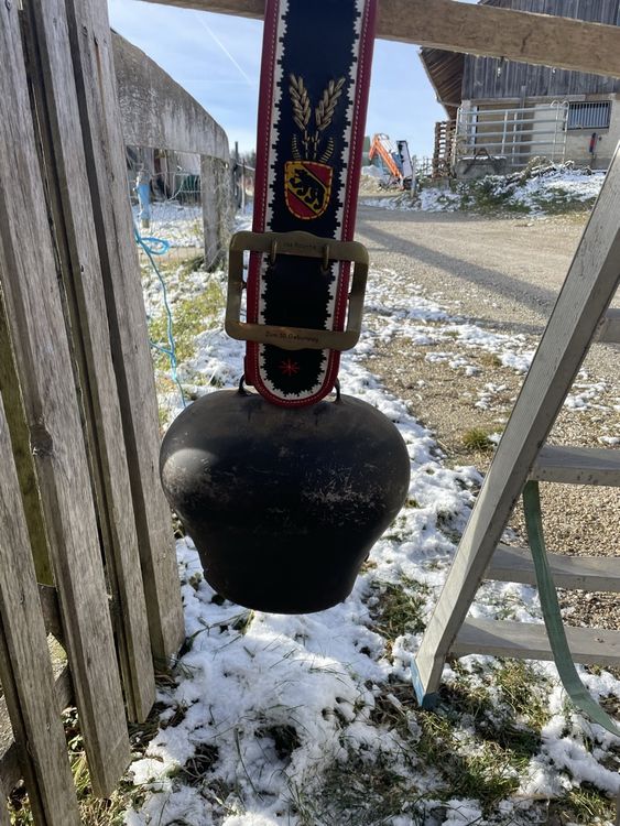 Firmann Treichel 24 (Gebraucht) in Ramiswil für CHF 95 – mit Lieferung ...