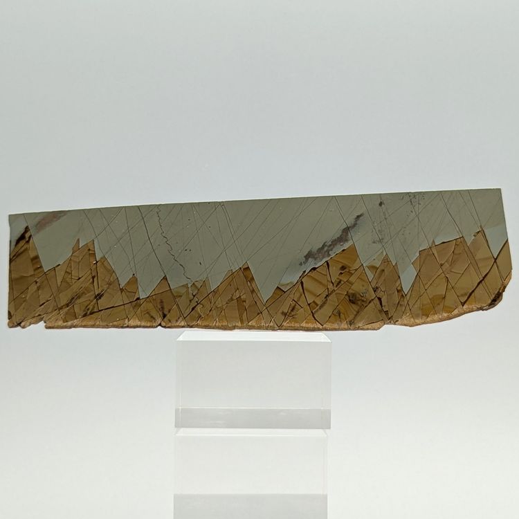 Scheibe von PAESINA, Natürliches BILD, Italien (Nuovo (secondo la ...