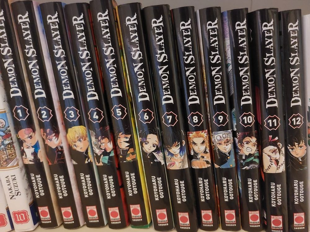12 Tomes de Demon Slayer | Kaufen auf Ricardo