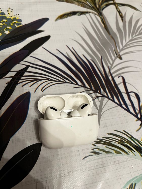 Air Pods Pro (1 Gen.) mit MagSafe Ladecase (Gebraucht) in Ottenbach für ...