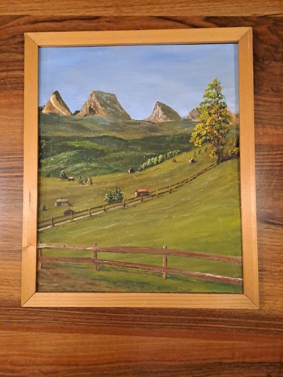 Bild, Gemälde, Toggenburg, Churfirsten, Fichten Rahmen (Gebraucht) in Steinerberg für CHF 20 ...