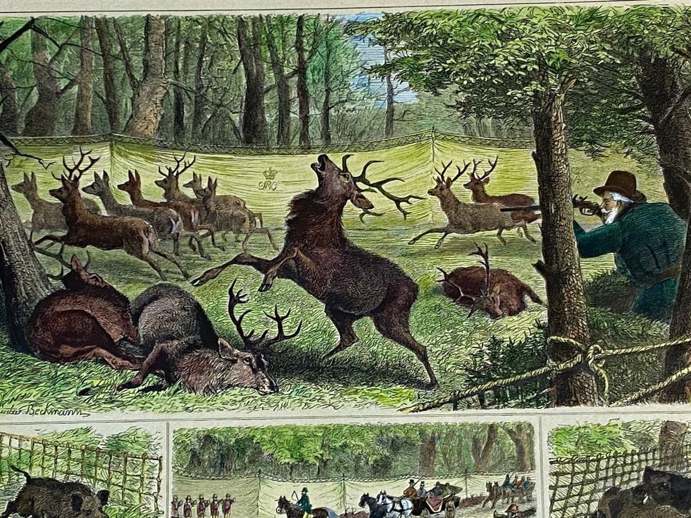 Holzschnitt koloriert Jagd Hirsch 1890 (Gebraucht) in Vaduz für CHF 29 – mit Lieferung auf ...
