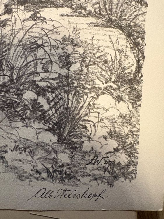 Albert Weisskopf, Pratteln - Lithographie - Alt Pratteln (Gebraucht) in ...