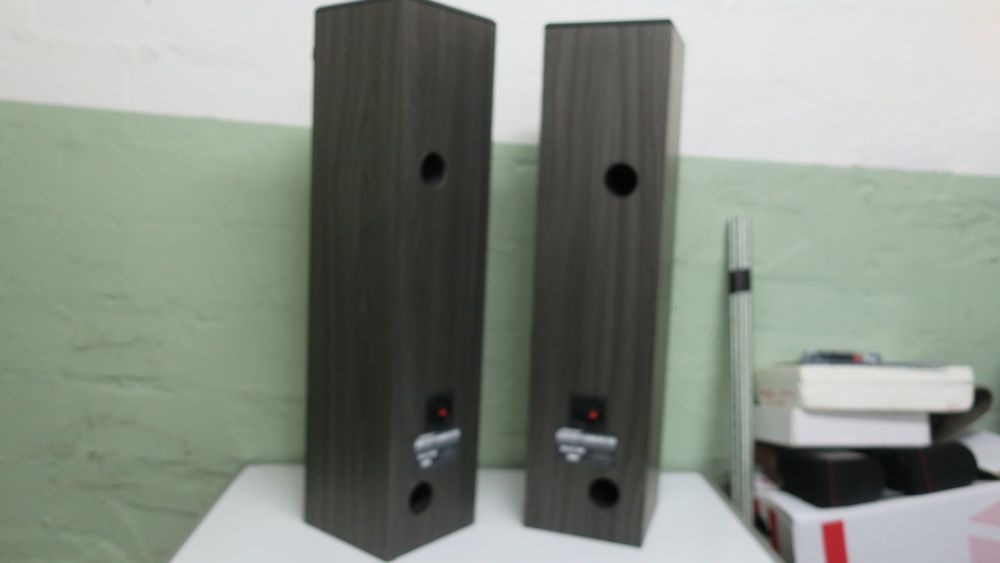 Bose 501 Series V Floorstanding Speakers | Kaufen auf Ricardo