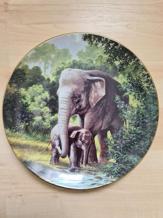 Wandteller the asian elephant by Will Nelson (Neu (gemäss Beschreibung ...