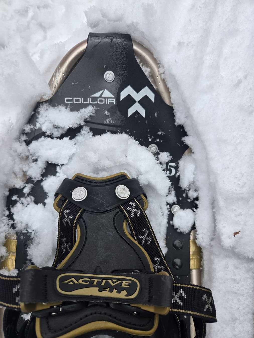 Tubbs Schneeschuhe Momentum Lite - Top Zustand neue Straps (Gebraucht ...