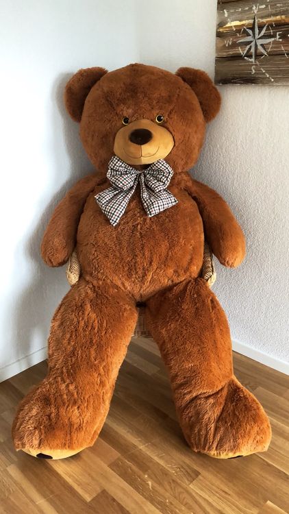 XXL TEDDY 160cm | Kaufen auf Ricardo