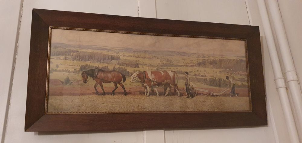 Bauer mit Oxe und Pferd (Gebraucht) in Flawil für CHF 180 – mit ...