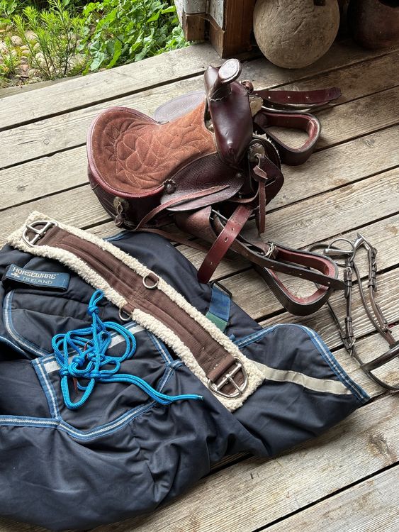 Sattel Ponysattel Pony Westernsattel & Zubehör (Gebraucht) in für CHF ...