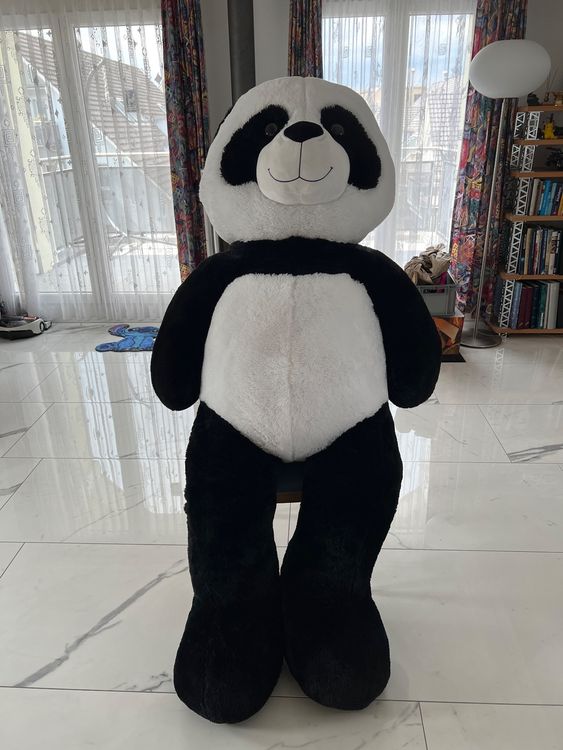 XXL Panda 185 cm (Neu (gemäss Beschreibung)) in für CHF 50 – nur ...