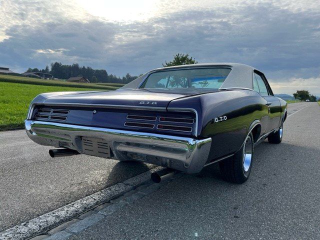 Pontiac GTO 6,6 Liter 1967 (Gebraucht) in Pfäffikon SZ für CHF 59000 ...