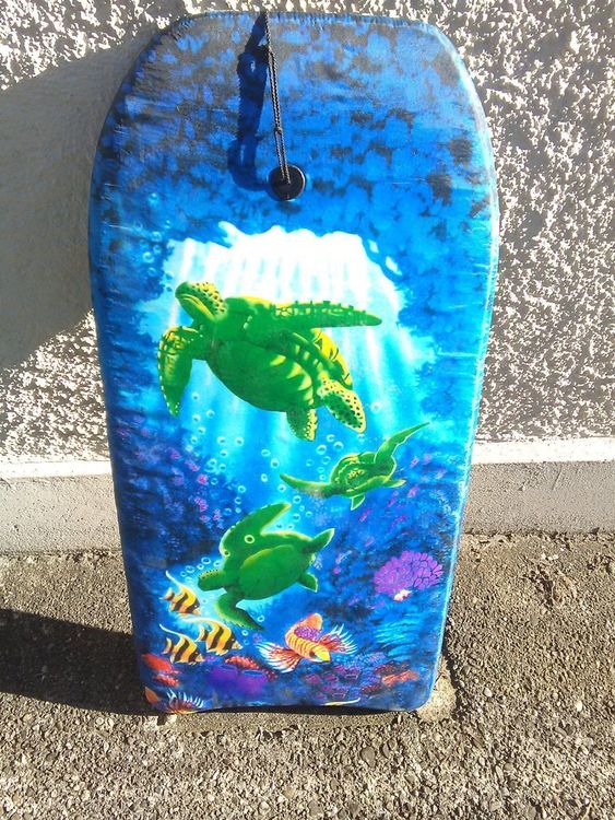 Waterboard (50cm x 100cm) (Gebraucht) in st.gallen für CHF 15 – nur ...